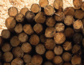 Become a Biomass Supplier - Edenderry Power