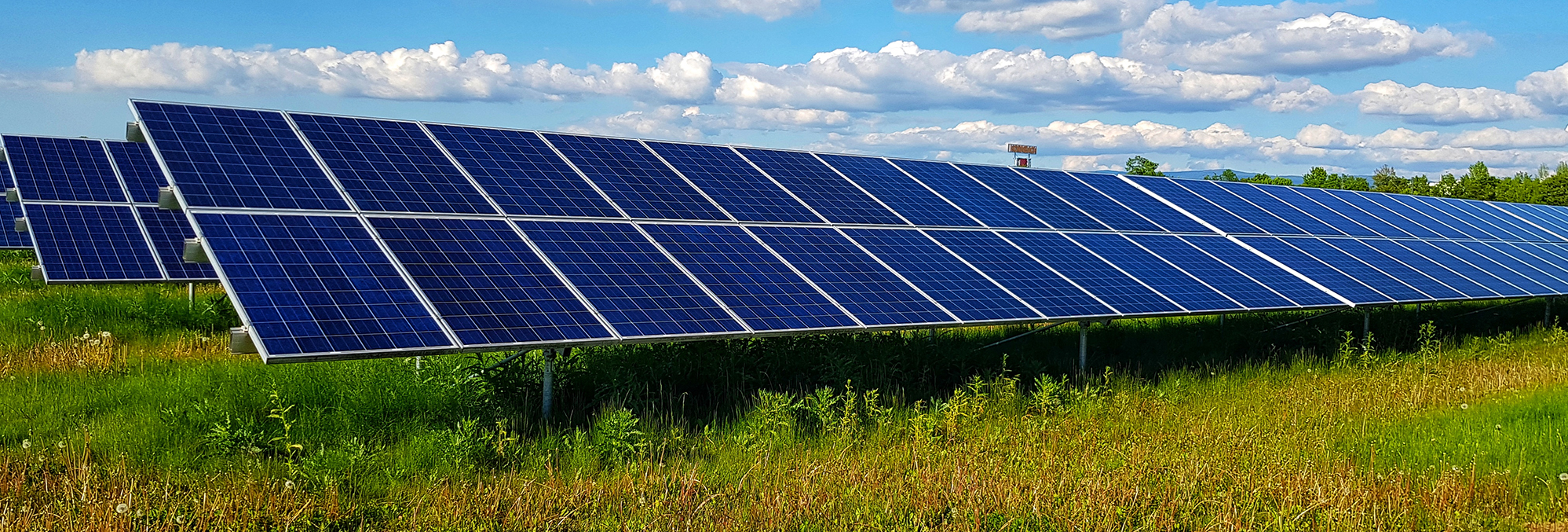 Home | Timahoe North Solar Farm